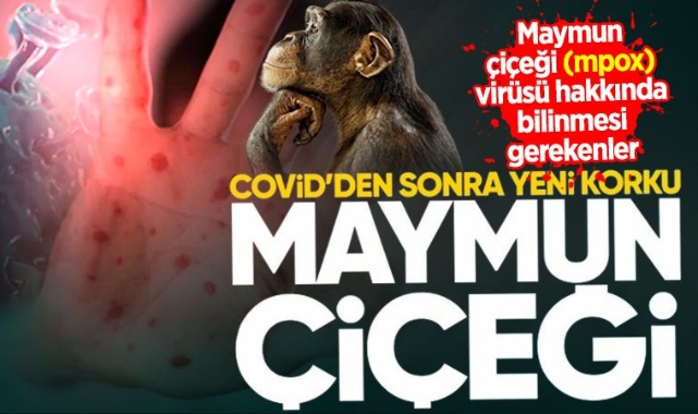 İşte maymun çiçeği virüsü ile ilgili merak edilenler - Sağlık Haberleri